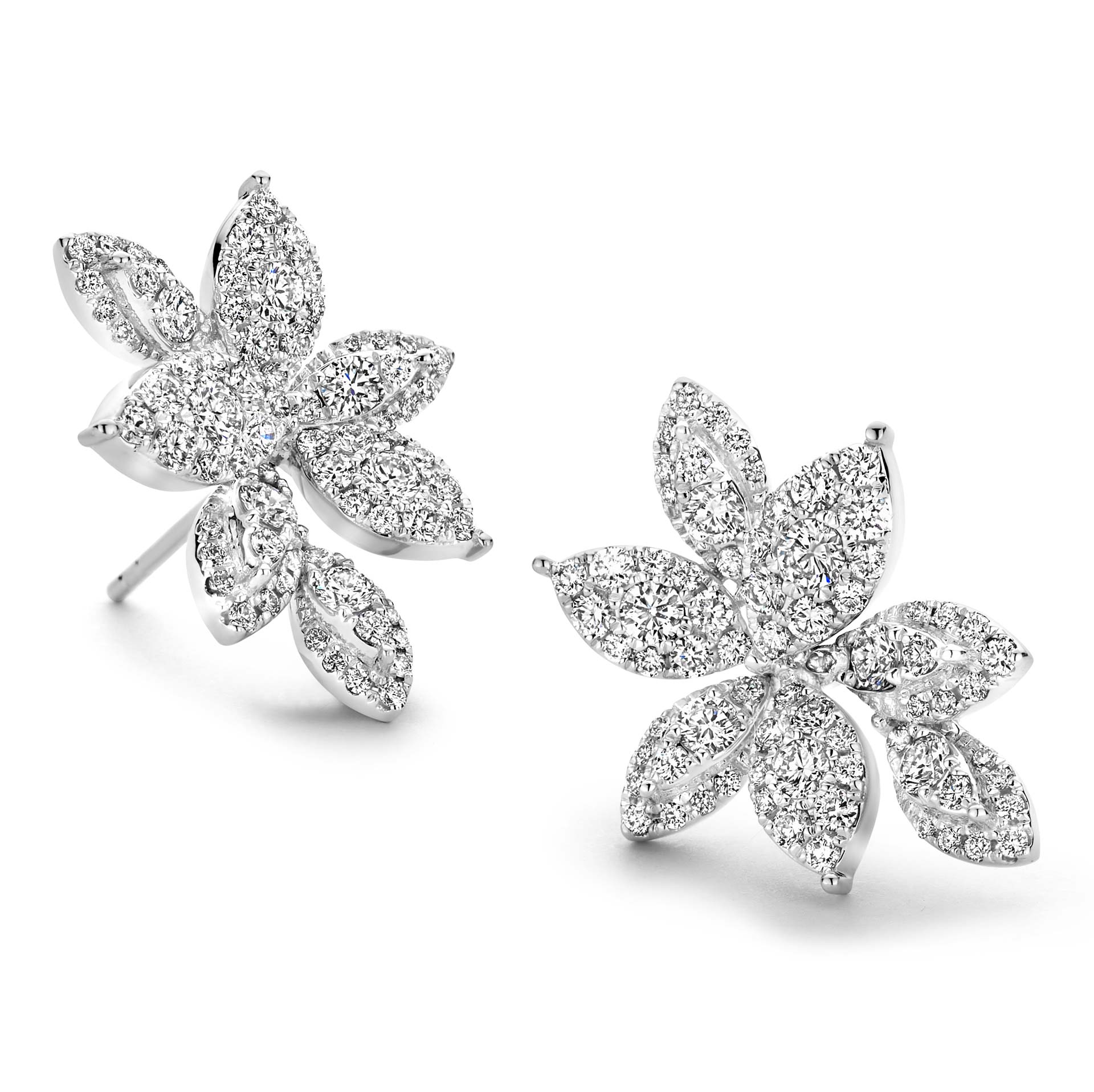 Tollet - Passionately fond of diamonds, preciously fond of jewellery